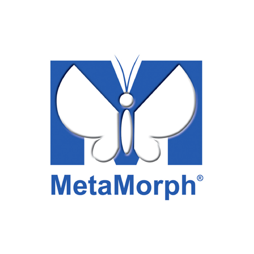 Software programmation for biological applications